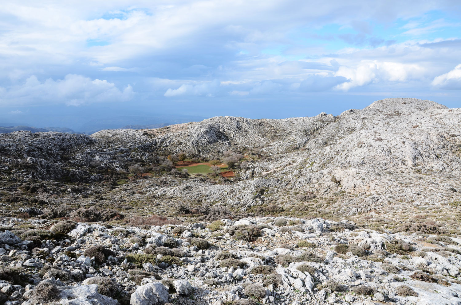 Home [wildnature.gr]