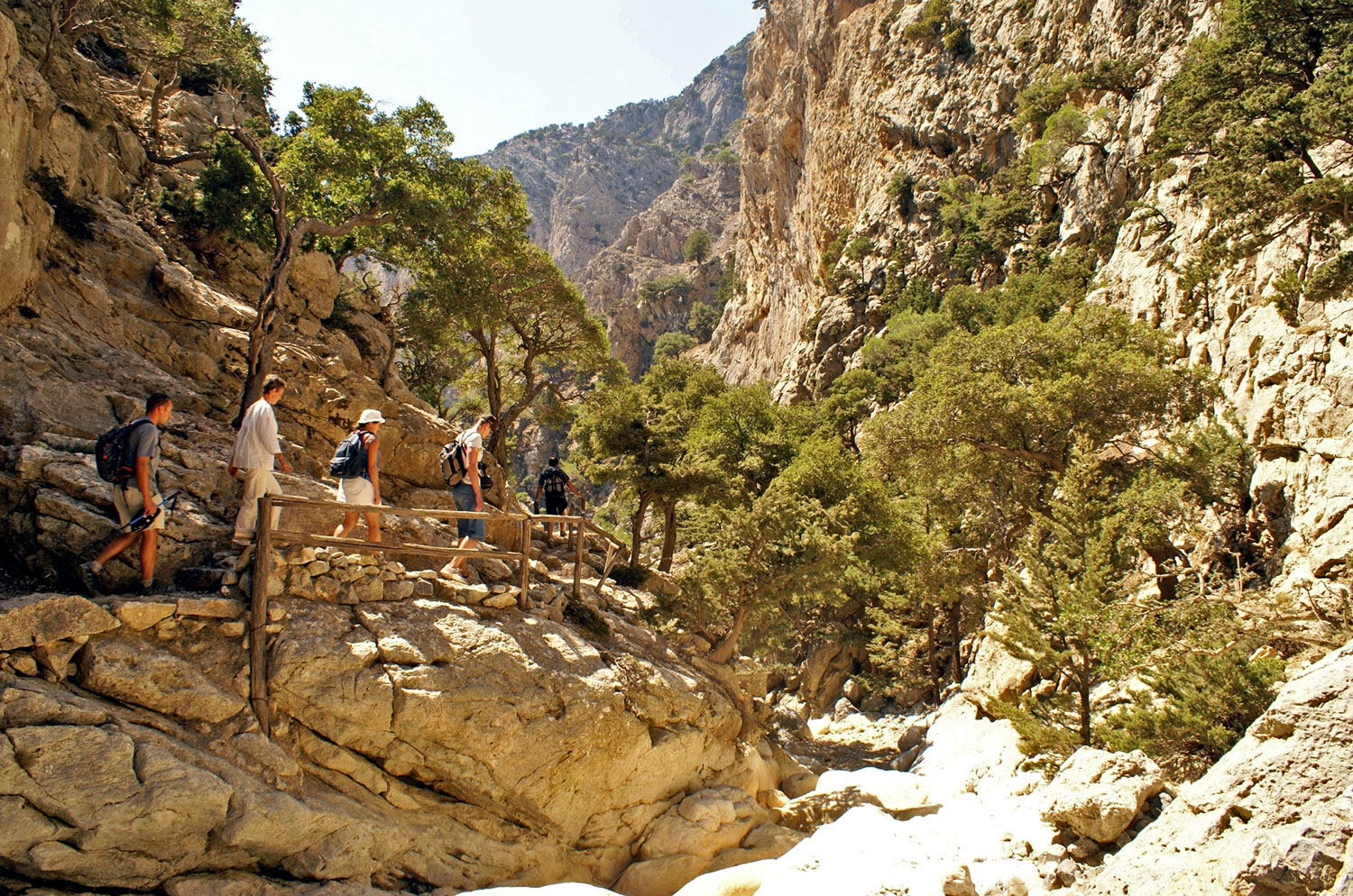 Home [wildnature.gr]