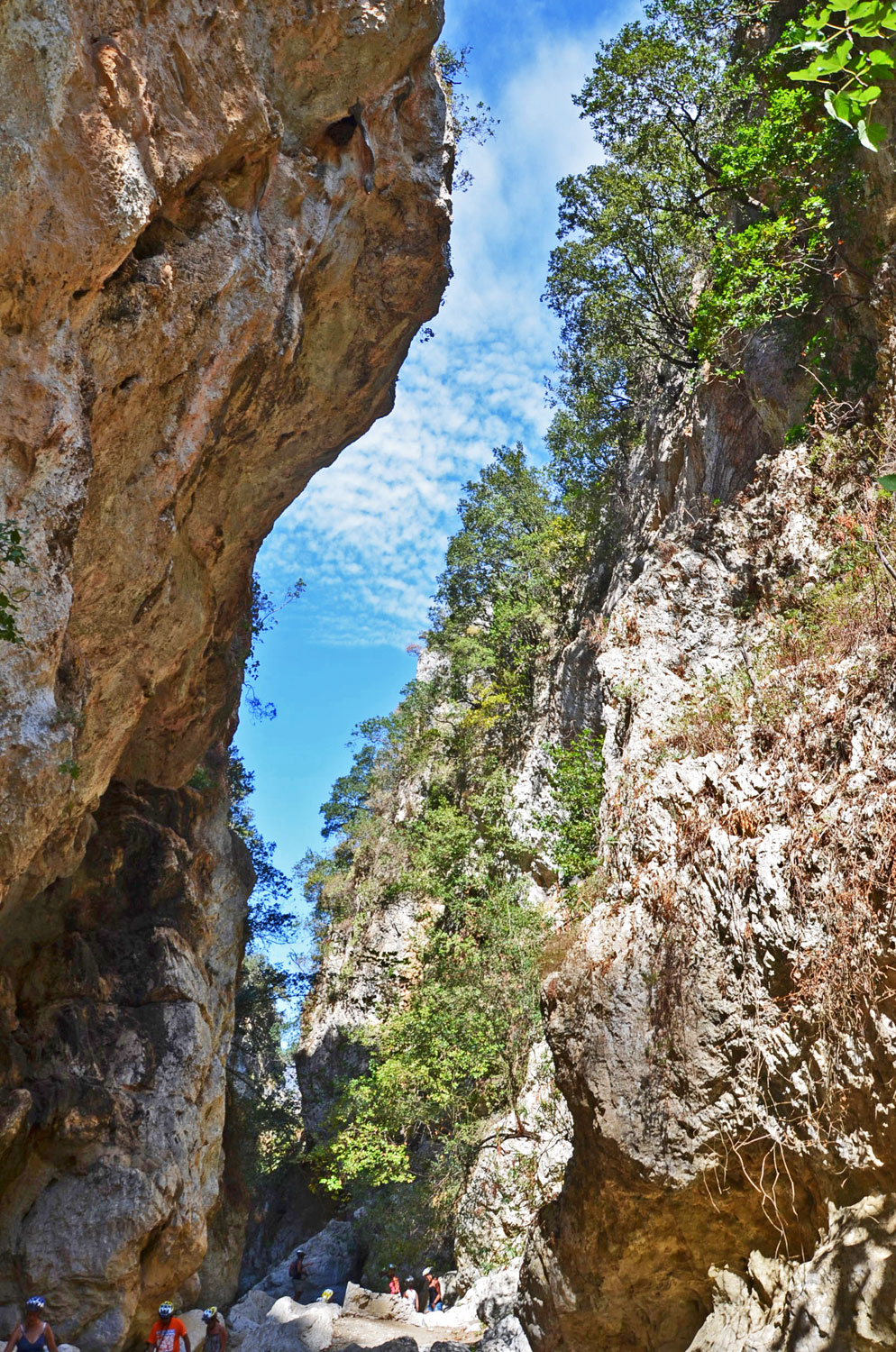 Discovery of Patsos gorge - Part 2 - Wild Nature